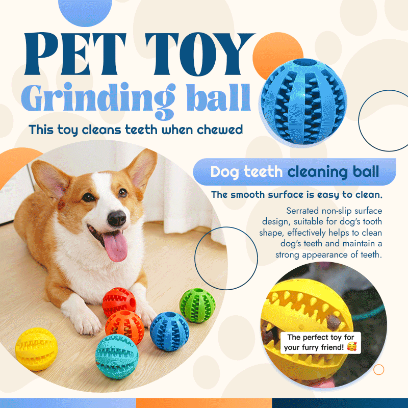 Pet Leaking Ball – Carkur