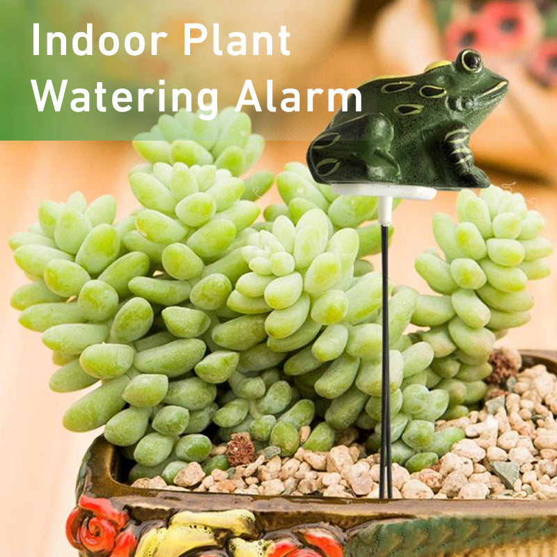 Indoor Plant Watering Alarm - Frog🐸 – Carkur
