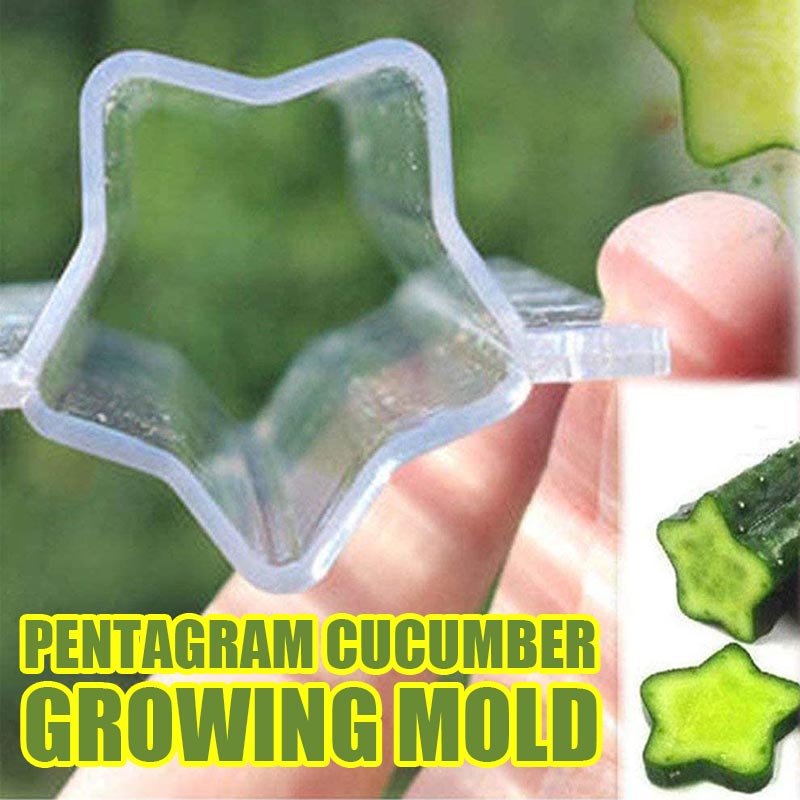 Pentagram Cucumber Growing Mold – Carkur